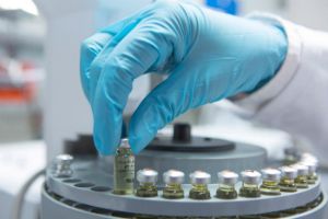 argenx an example that European start-ups can become a global player ...